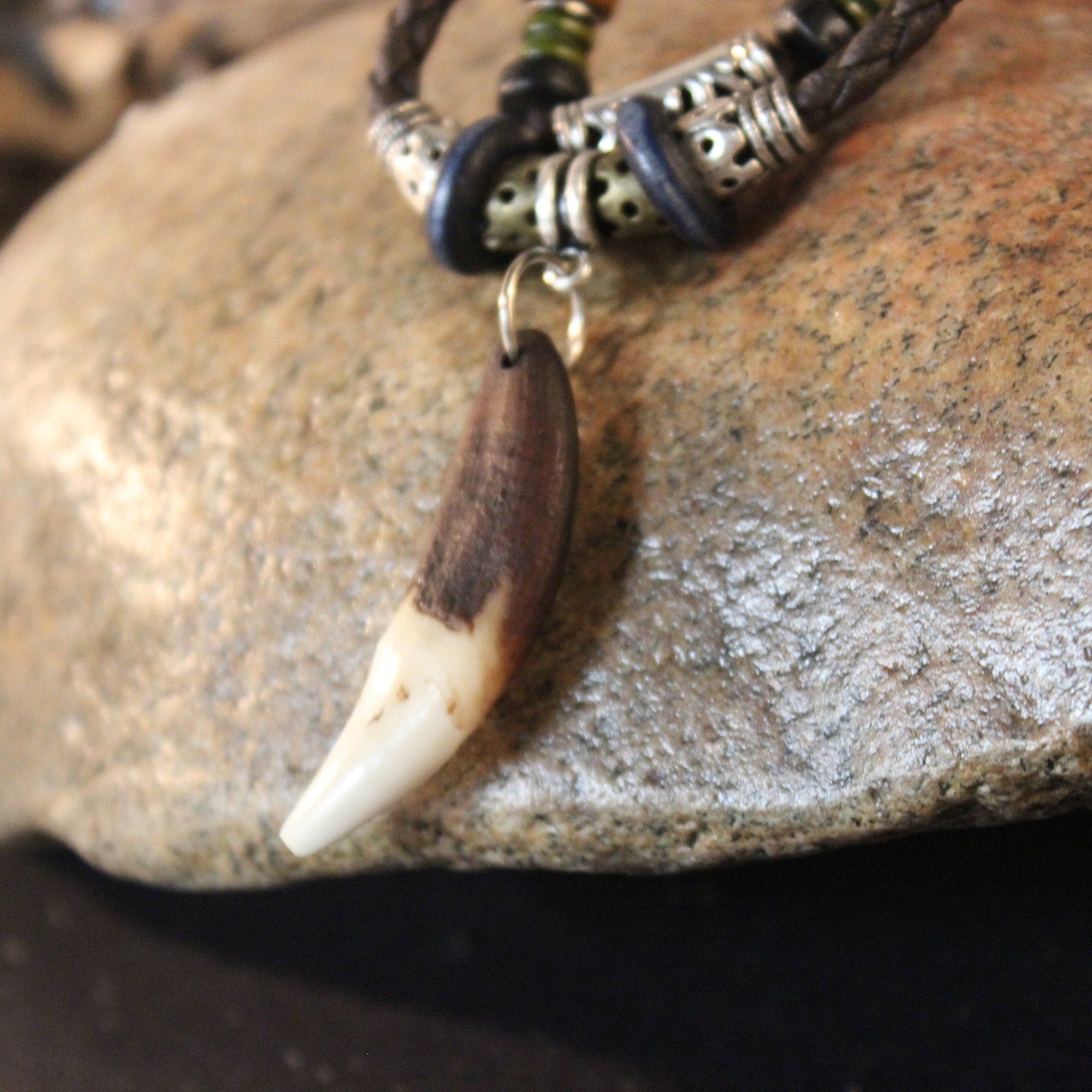 Large Wolf Tooth Necklace Wolf Teeth Necklace Wolf Necklace Wolf Tooth ...