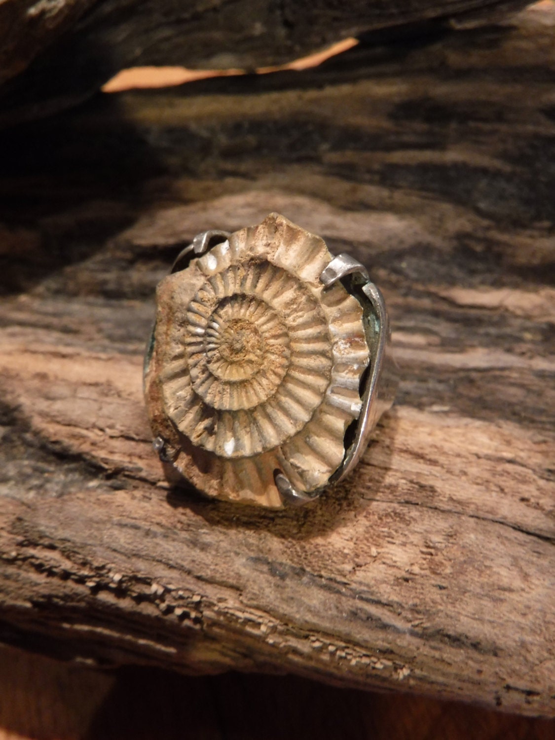 Vintage Sterling Silver Ammonite Ring Heavy 16.2 Grams Size 6 Sterling ...