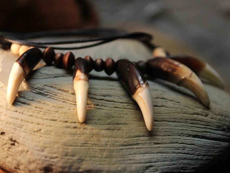Large Wolf Tooth Necklace Wolf Teeth Necklace Wolf Necklace - Etsy