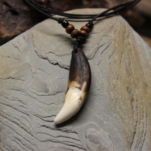 Large Wolf Tooth Necklace Wolf Teeth Necklace Wolf Necklace Wolf Tooth ...