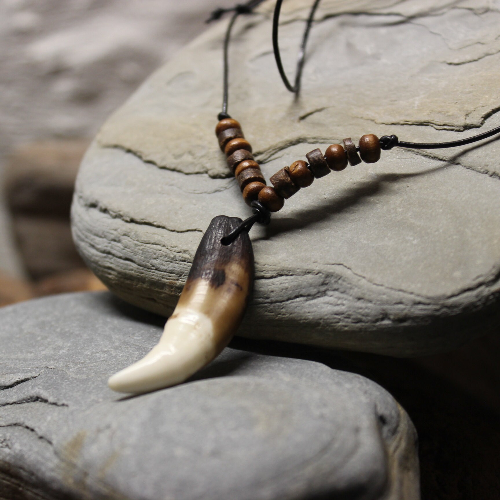 Large Wolf Tooth Necklace Wolf Teeth Necklace Wolf Necklace Wolf Tooth ...