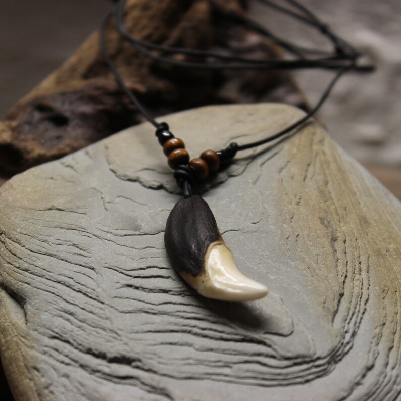 Large Wolf Tooth Necklace Wolf Teeth Necklace Wolf Necklace | Etsy