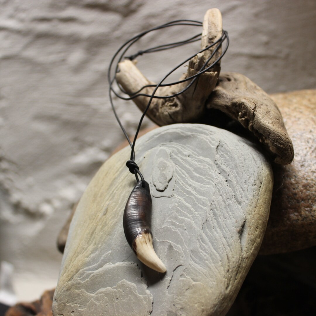 Large Wolf Tooth Necklace Wolf Teeth Necklace Wolf Necklace Wolf Tooth ...