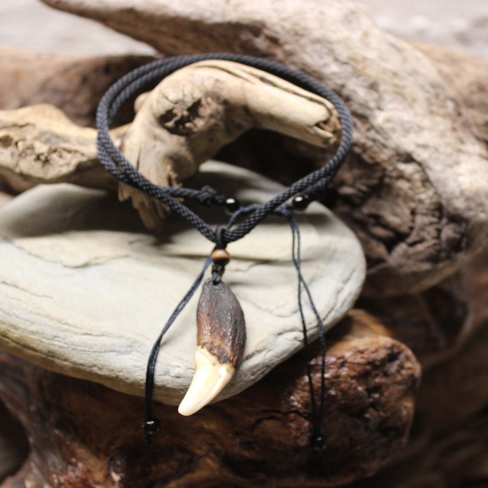 Large Wolf Tooth Necklace Wolf Teeth Necklace Wolf Necklace - Etsy