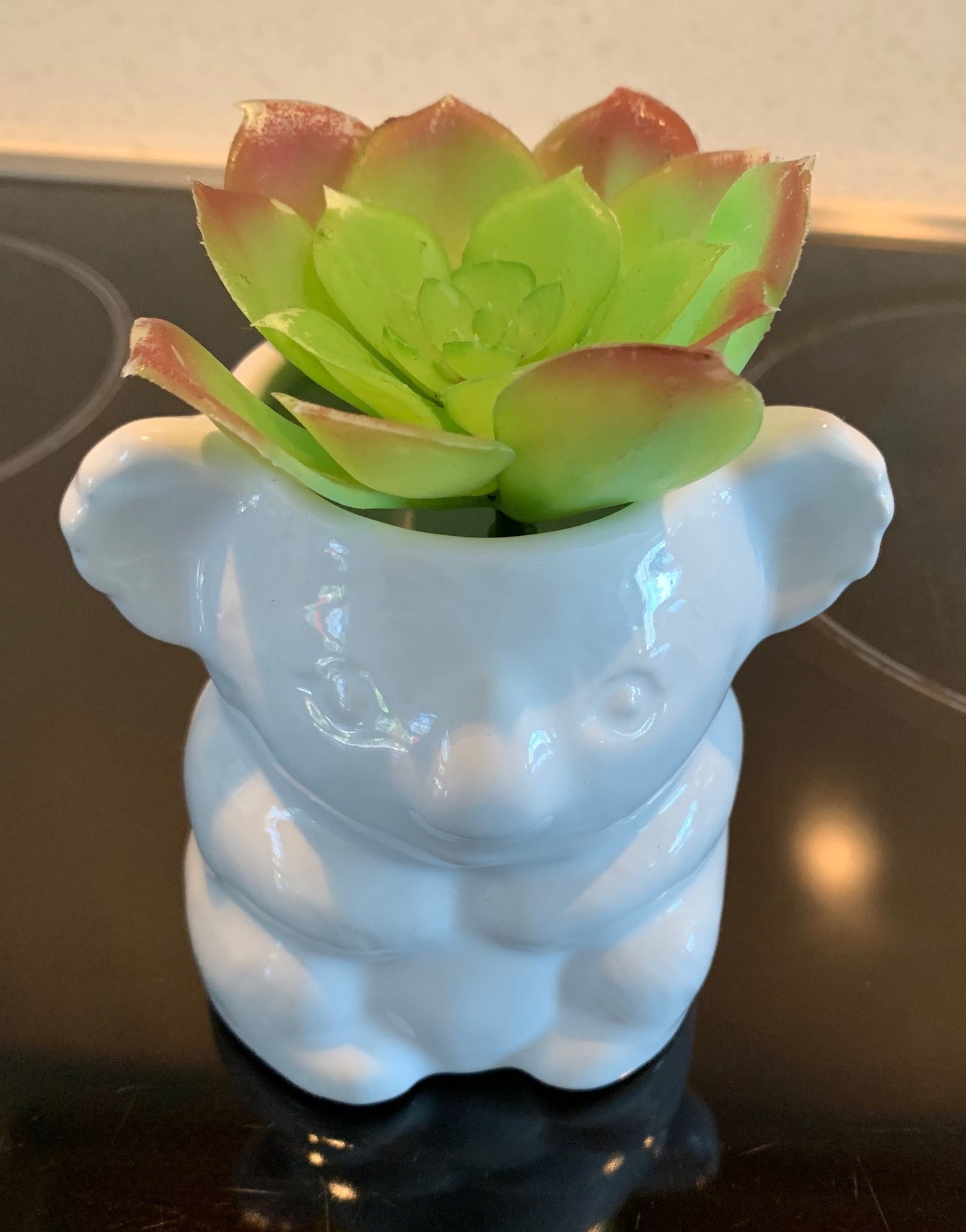 Koala Planter Australian Native Animal Pot Plant Ornament - Etsy