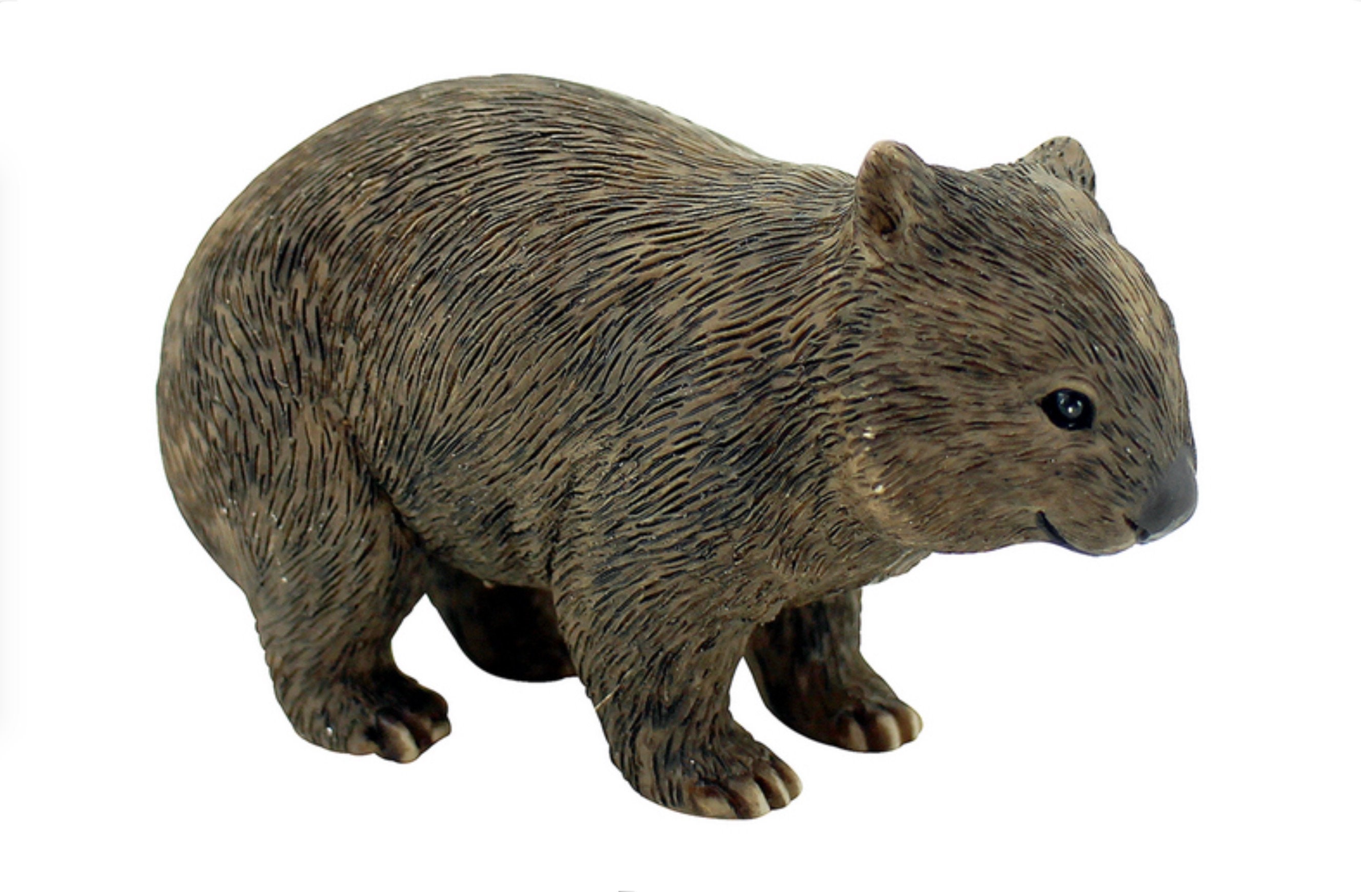 Marsupial Animals Wombat
