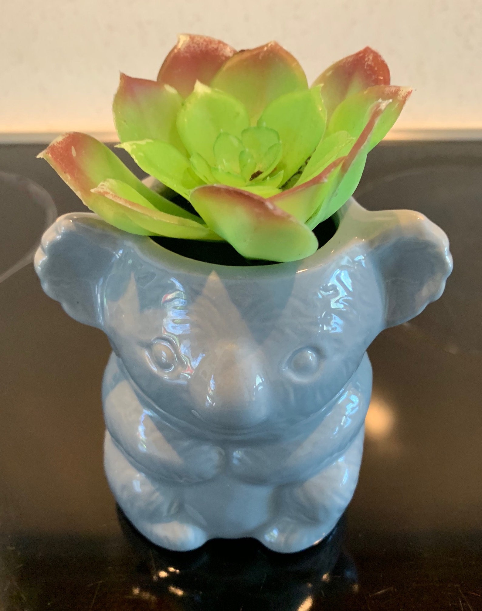 Koala Planter Australian Native Animal Pot Plant Ornament Figurine ...