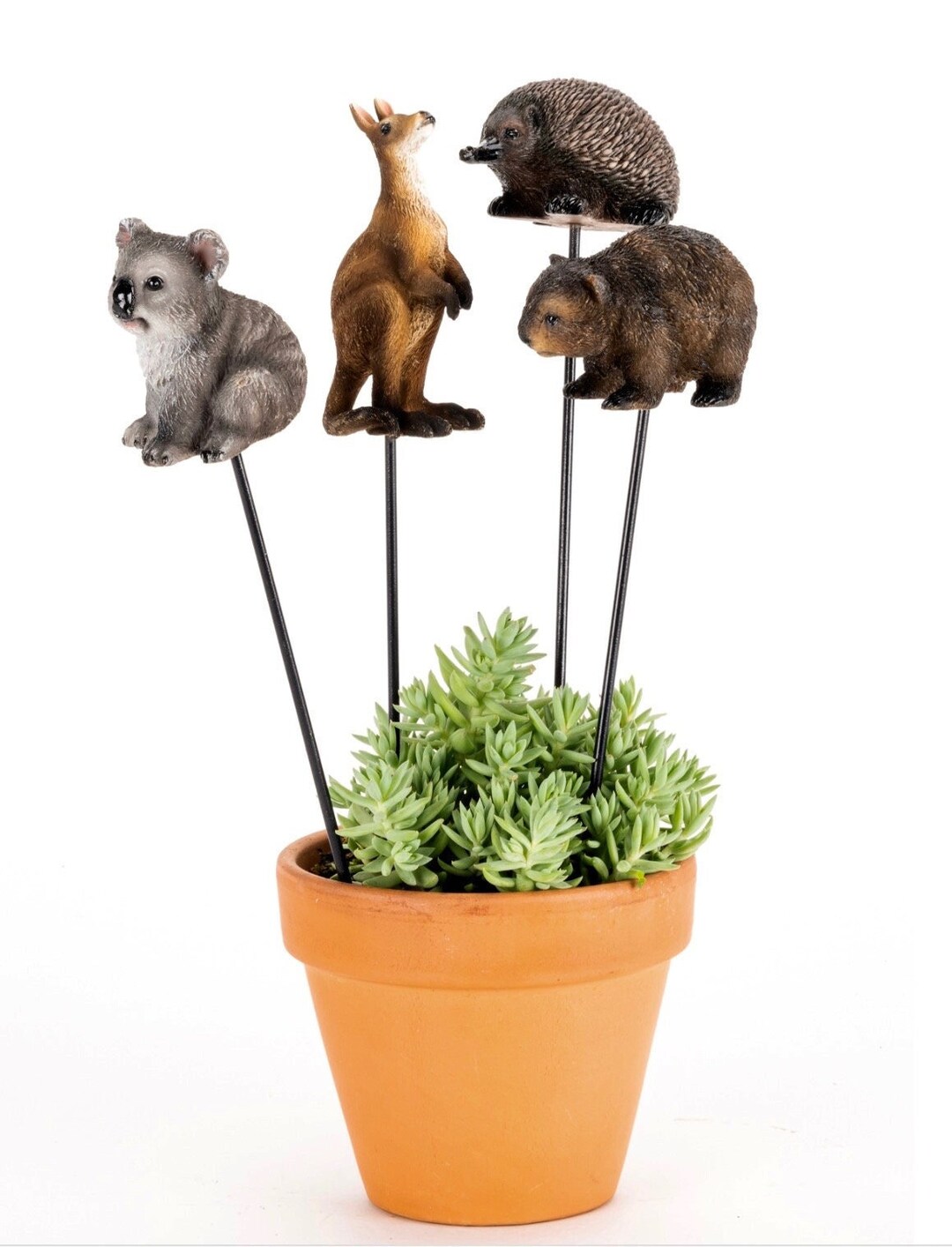 Set of 4 Australian Native Animals Garden Stake Ornament Koala Kangaroo ...