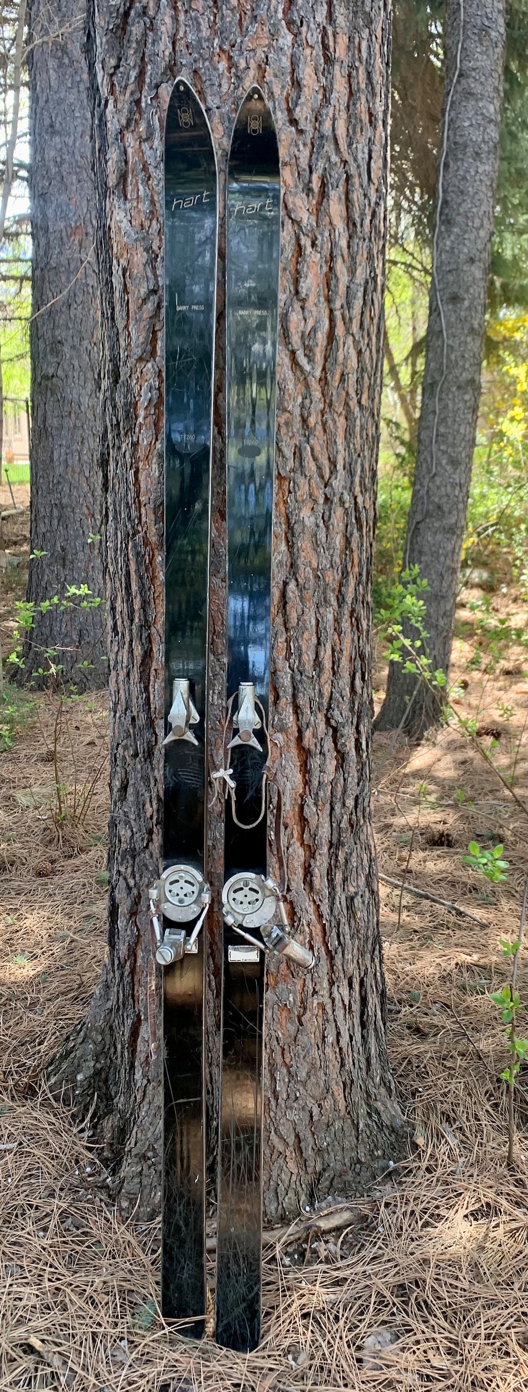 Vintage 1960s Hart Skis 205cm Nevada Bindings Cabin Decor - Etsy