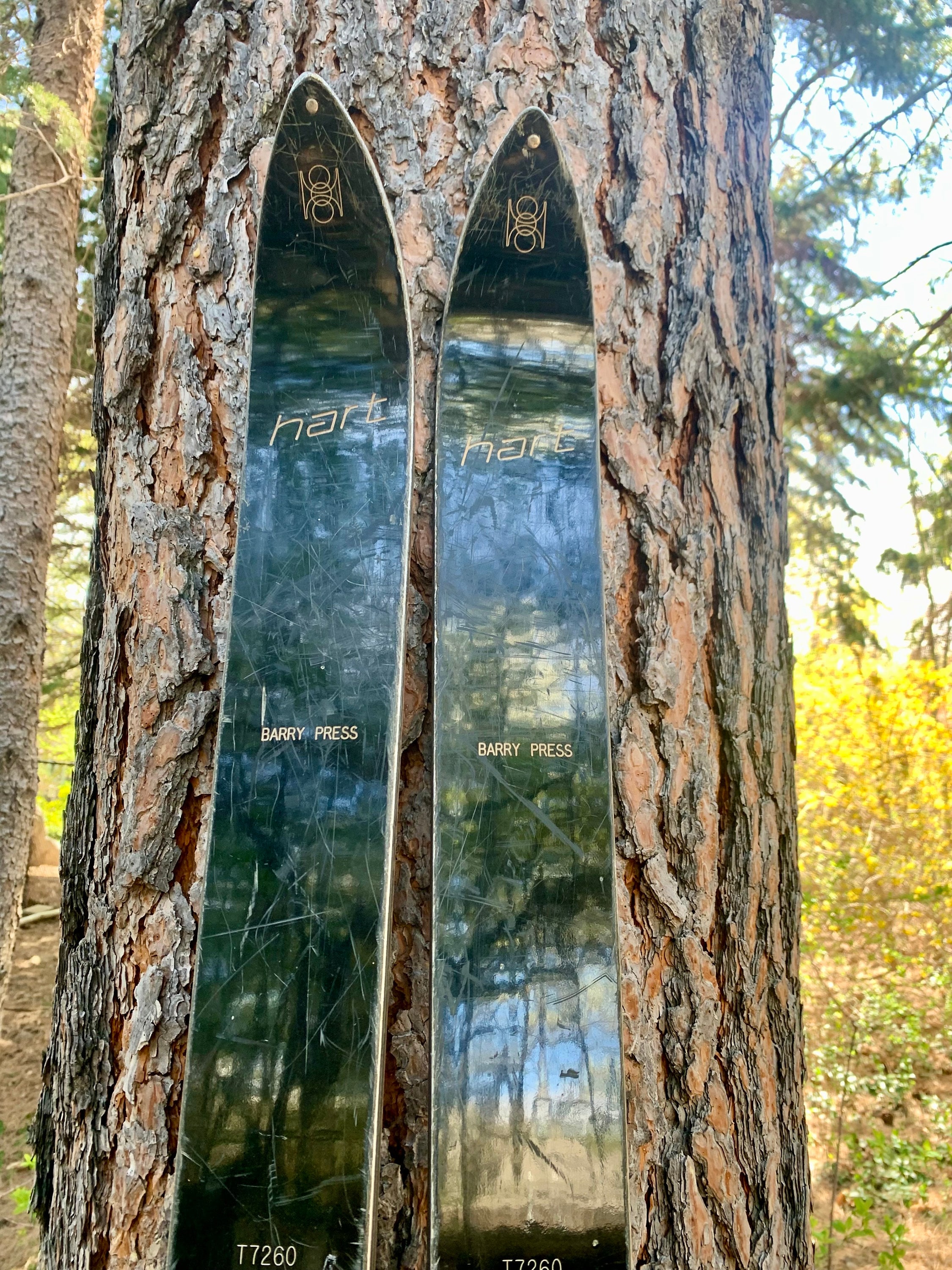 Vintage 1960s Hart Skis 205cm Nevada Bindings Cabin Decor - Etsy