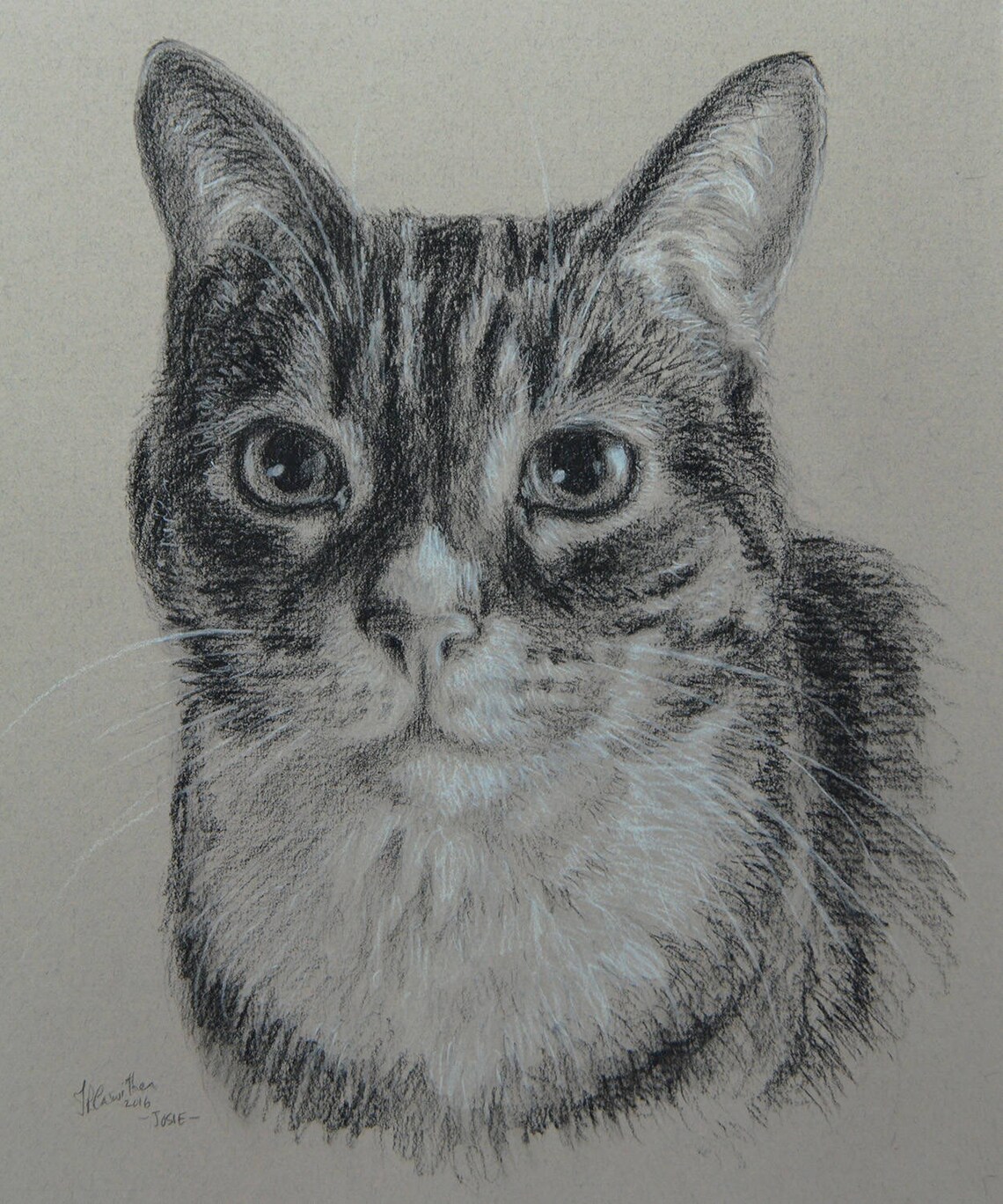 Cat portrait custom Cat Portrait Cat drawing carbon pencil | Etsy