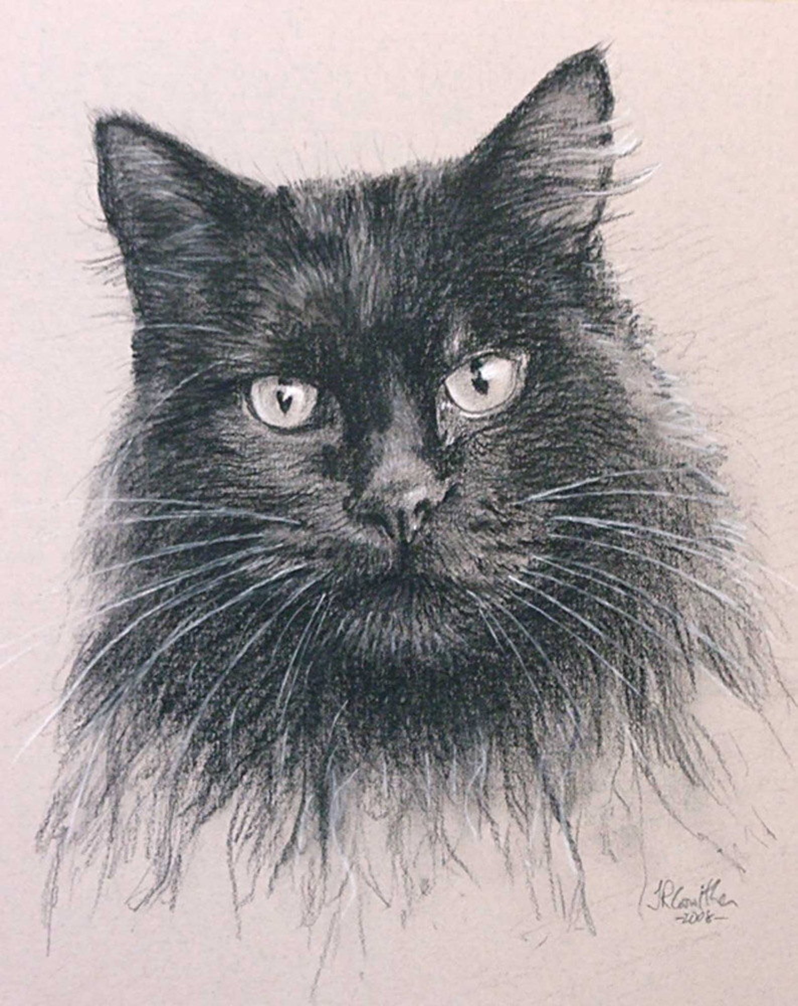 Custom Cat Portrait Pet Portrait Cat Drawing carbon Pencil - Etsy