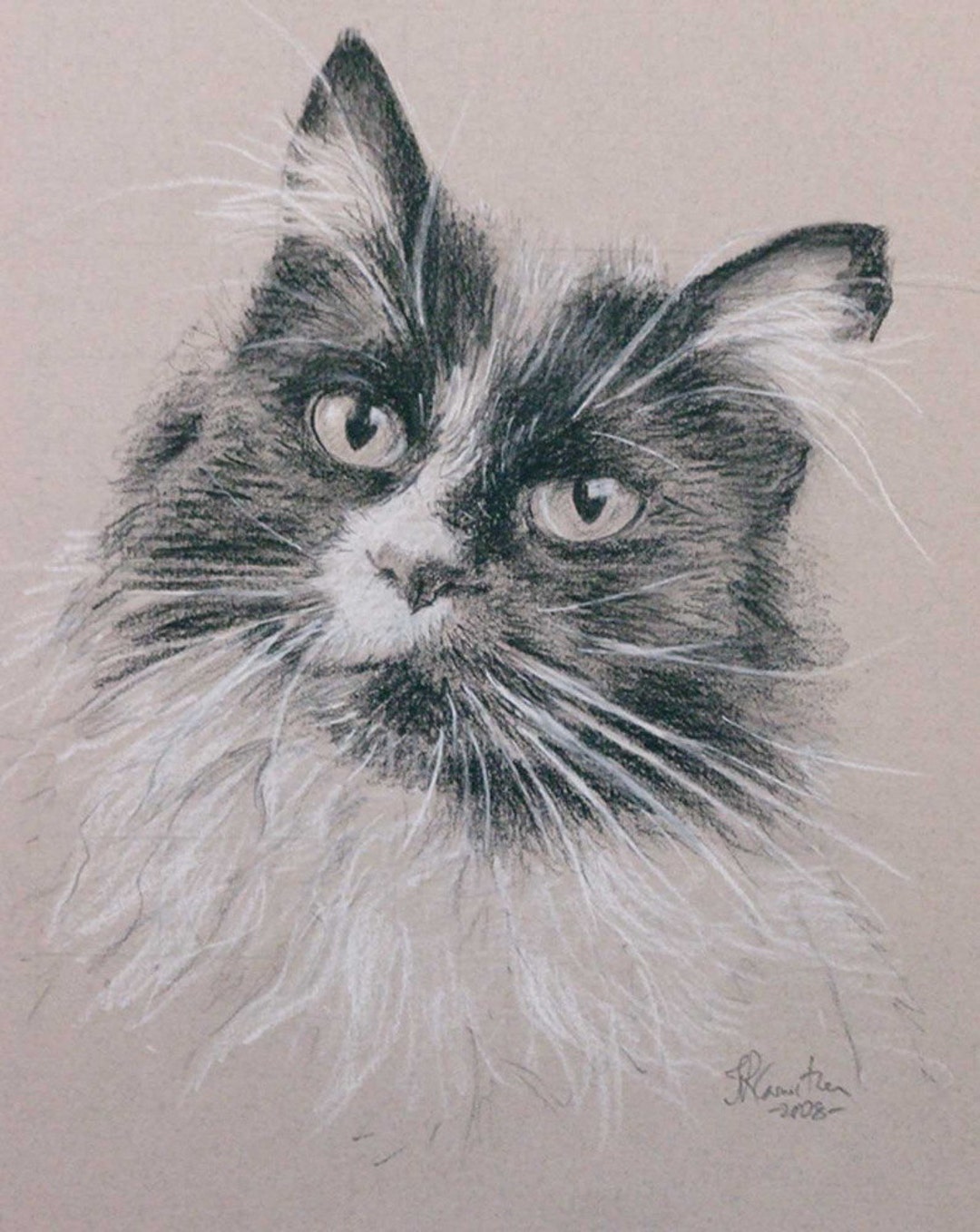 Custom Cat Drawing, Cat Portrait, Cat Drawing, Carbon Pencil on Ingres ...