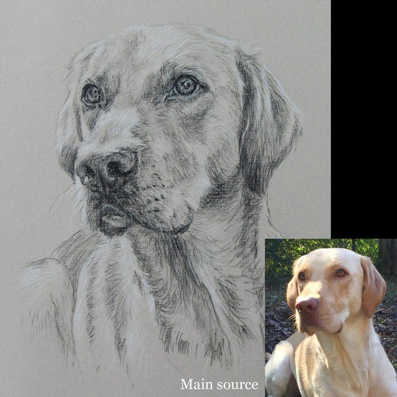 Dog Portrait Custom Pet Portrait Dog Drawing Carbon Pencil - Etsy