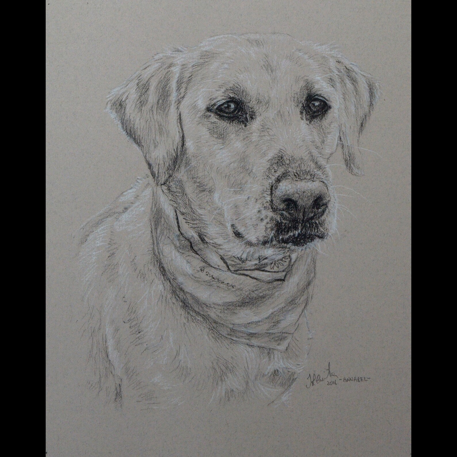 Pet Portrait Custom Dog Portrait Drawing Dog Drawing Carbon | Etsy UK