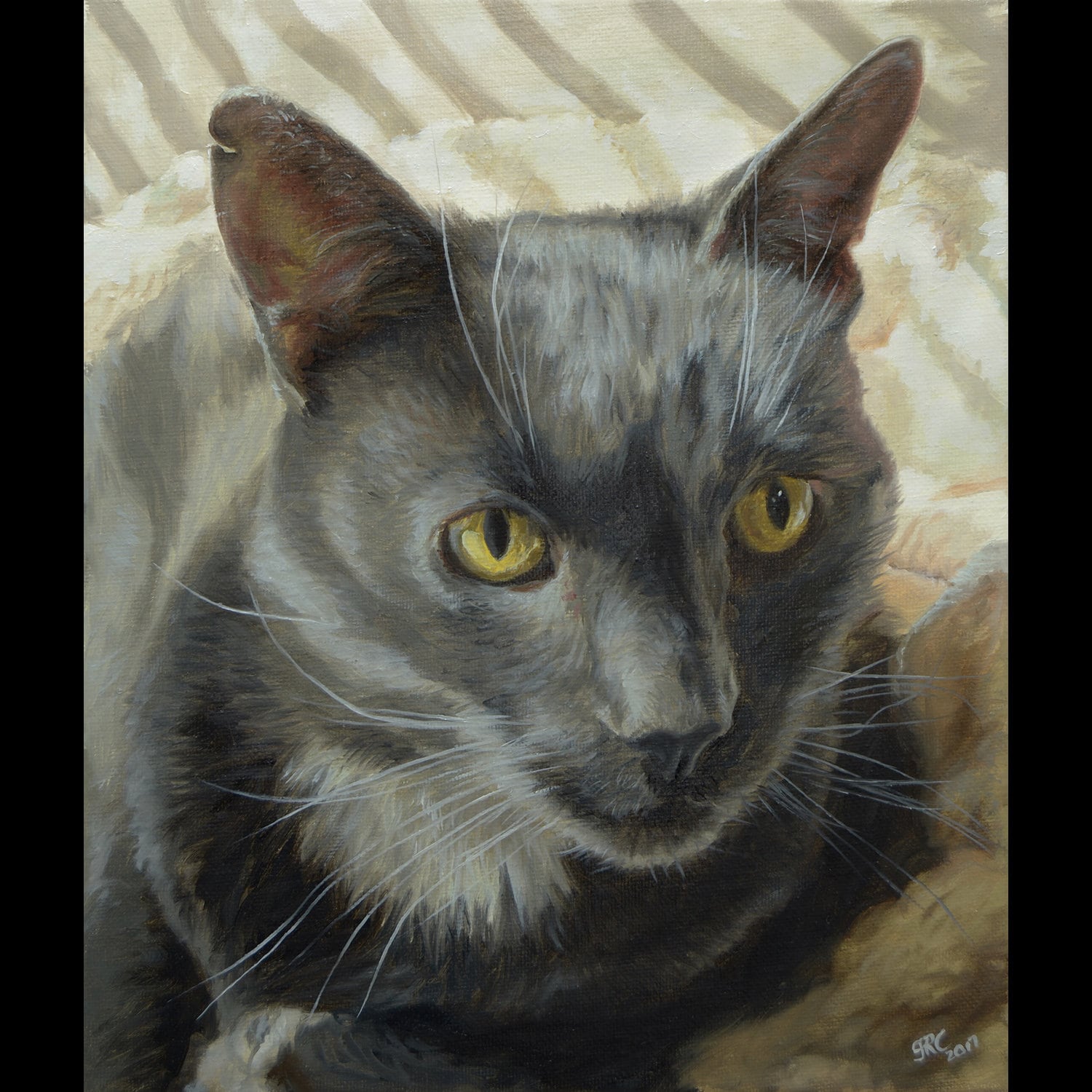 Cat portrait custom Cat Portrait Cat drawing carbon pencil | Etsy