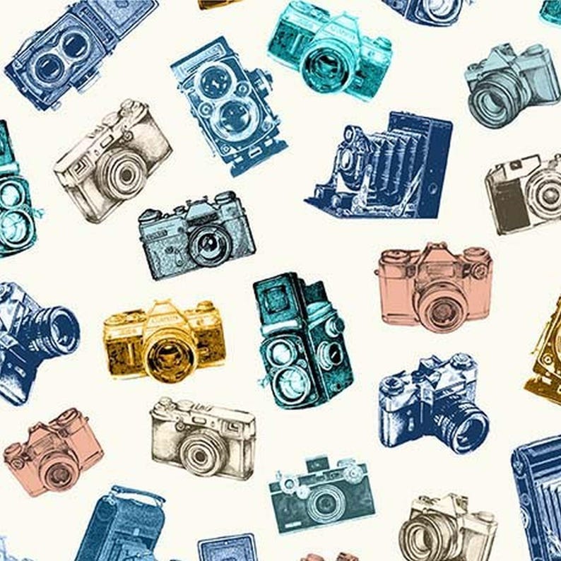Capture the Moment Camera Fabric DCX12088-BLUE-D From Michael Miller by ...