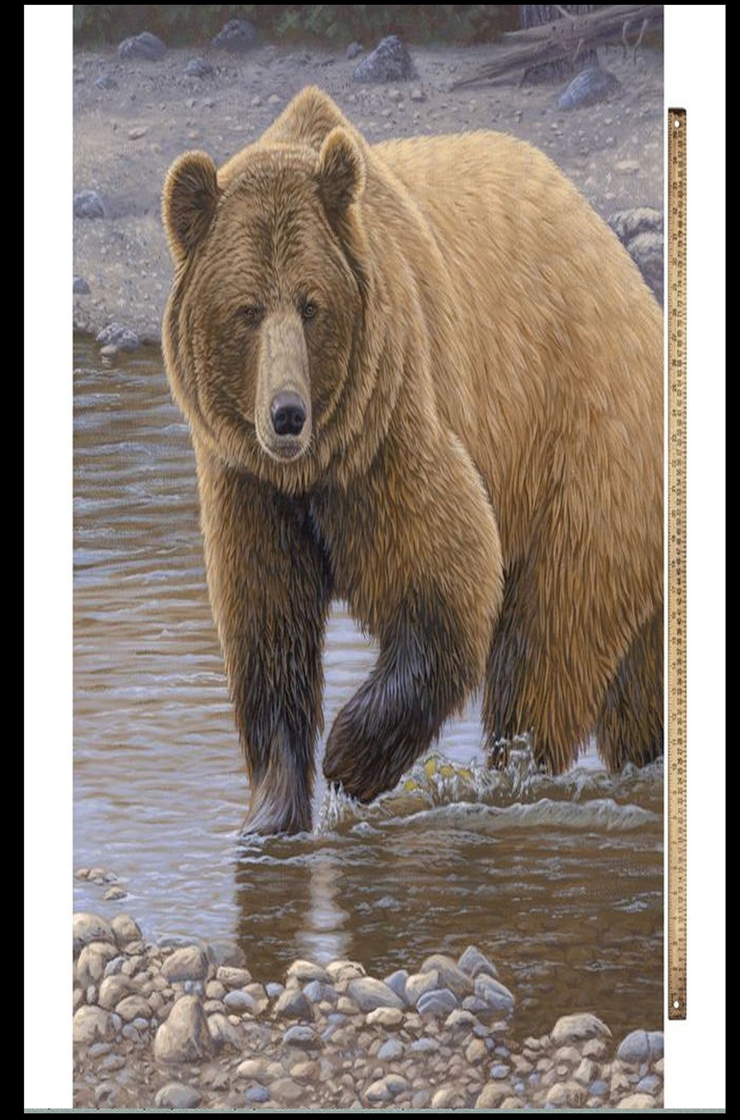 Shore Patrol Bear Panel AL-4338-2C From David Textiles by the Panel - Etsy