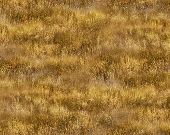 Greener Pastures Brown Grass by Jennifer Pugh Wilmington Prints, 82635 ...