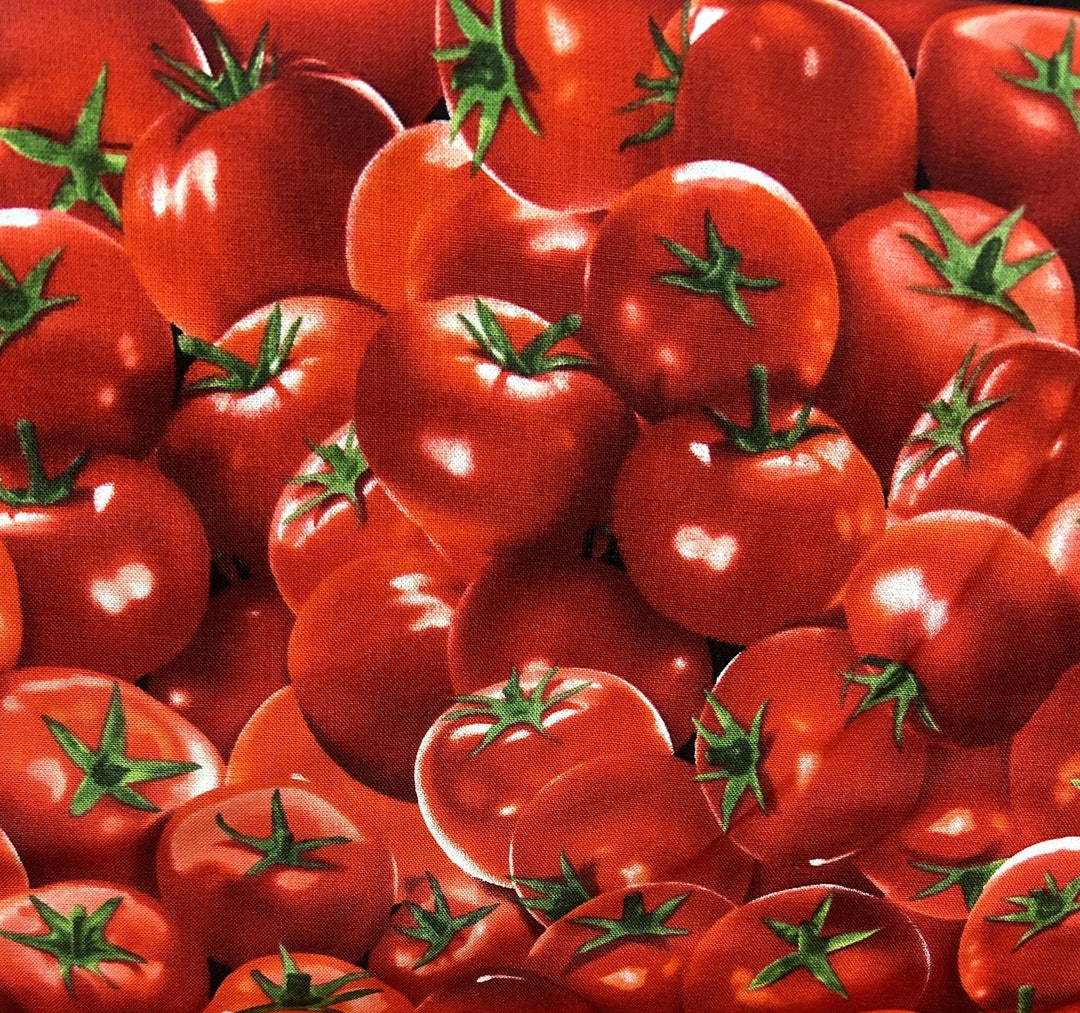 Tomato FOOD-C1433 From Timeless Treasures by the Yard - Etsy