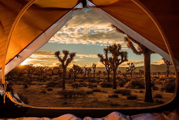 Sleeping Under the Stars Desert 30 X 44 Panel - Etsy