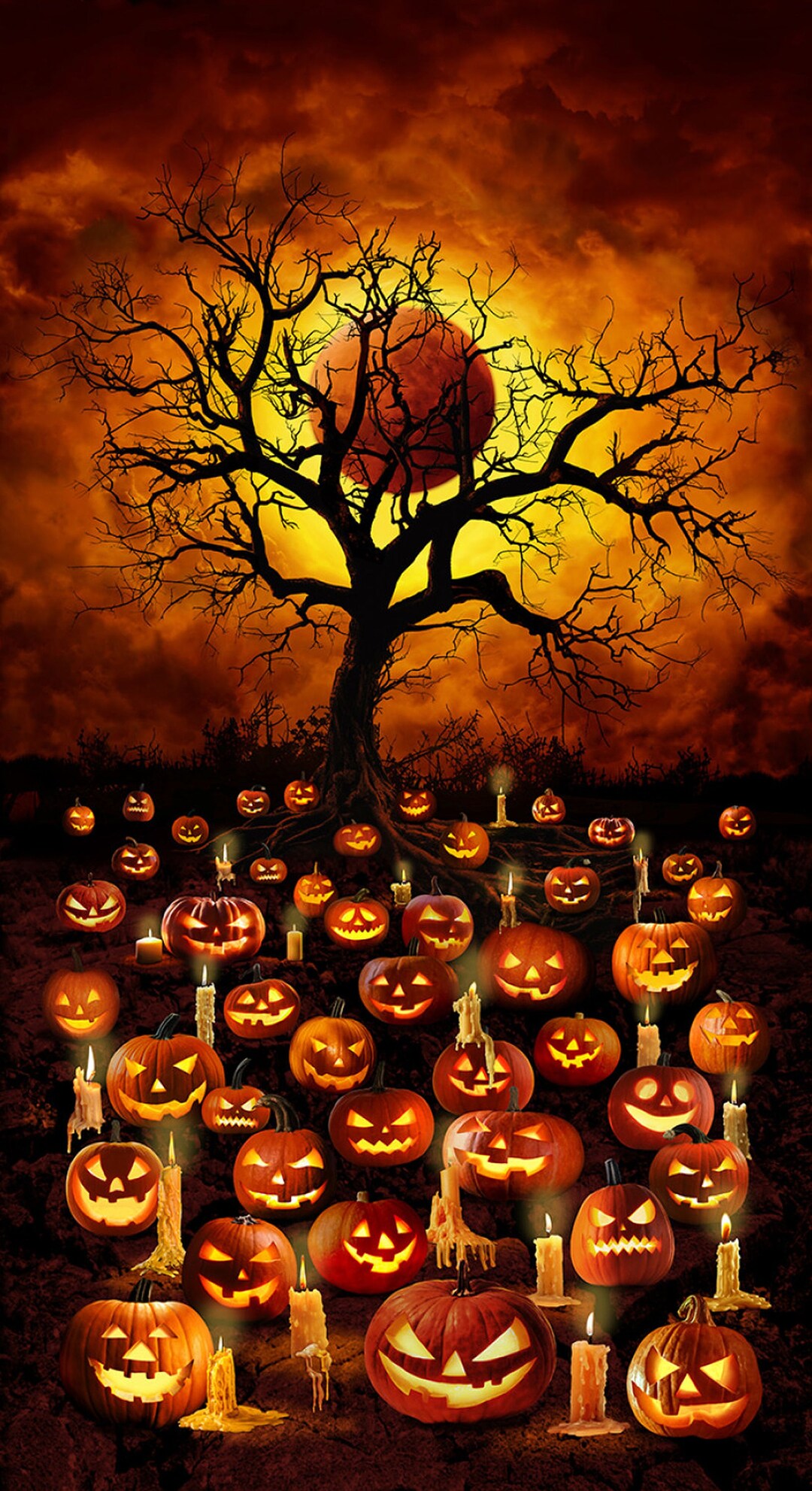Jack O'lantern Blood Moon Panel 24" All Hallow's Eve CD2914-ORANGE From ...