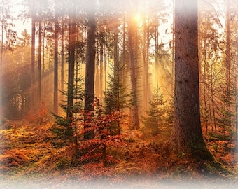 New Autumn Sun up to Sun Down Hoffman Fabrics 1 Panel - Etsy