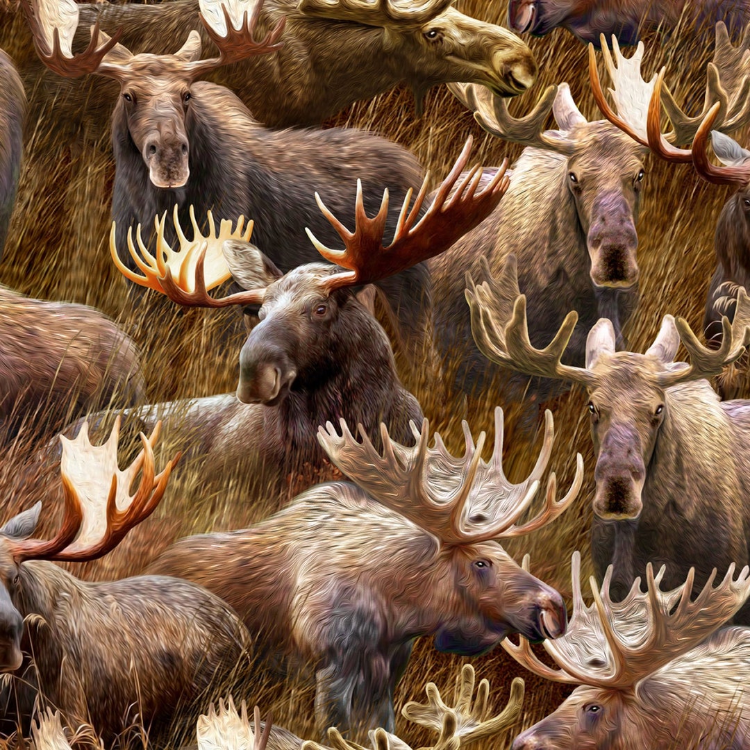 Wilderness Moose 597401 From Oasis Fabrics by the Yard - Etsy