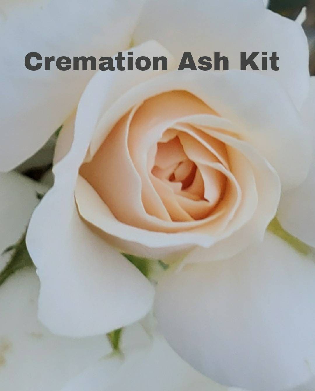 Memorial Ash Cremation Kit - Etsy