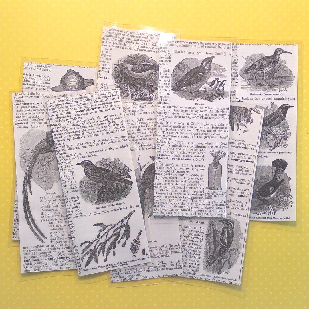 Vintage Bird Dictionary Bookmarks - Etsy