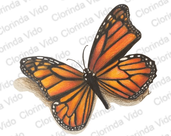 Downloadable Monarch Butterfly Print - Etsy