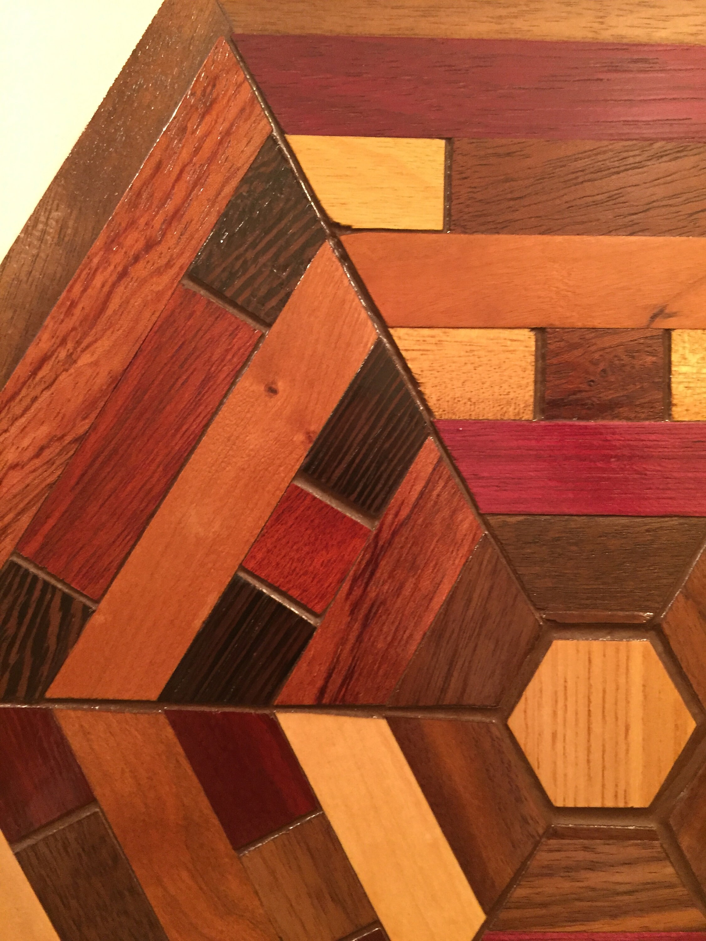 Hexagon Shaped Wood Wall Art Sculpture Featuring a Variety of Exotic ...