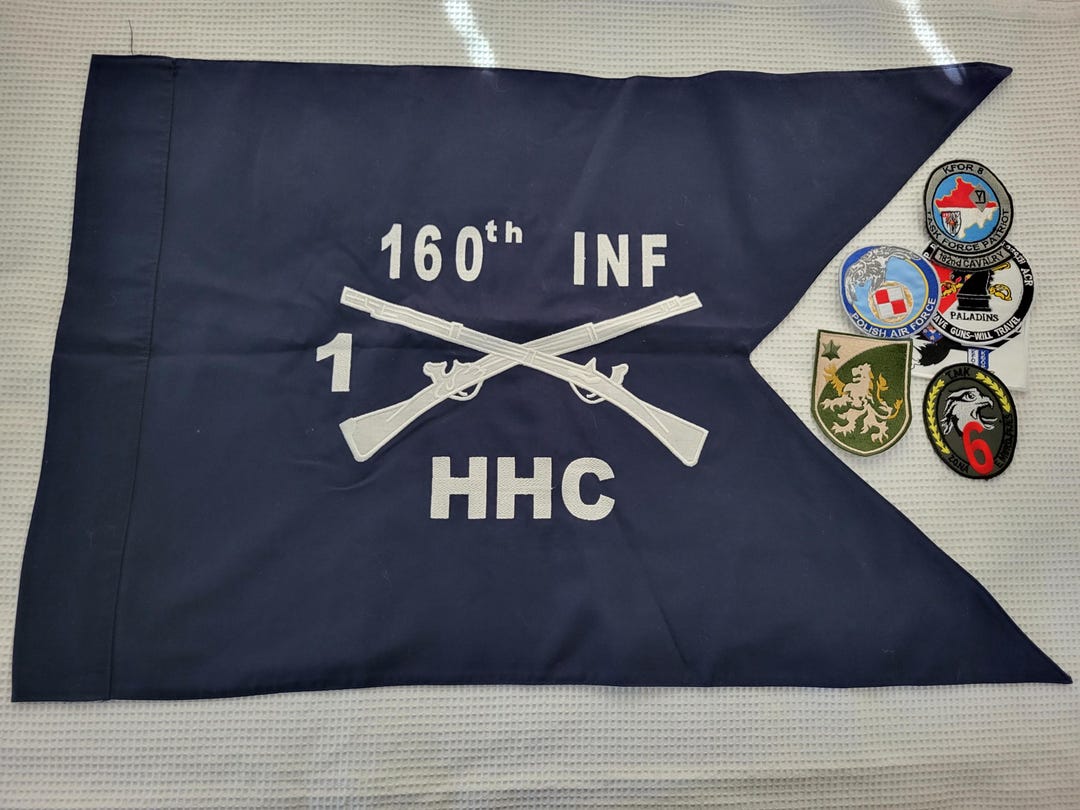 1990s U.S. Army Military Pennant 1st Battalion 160th Infantry Regiment ...