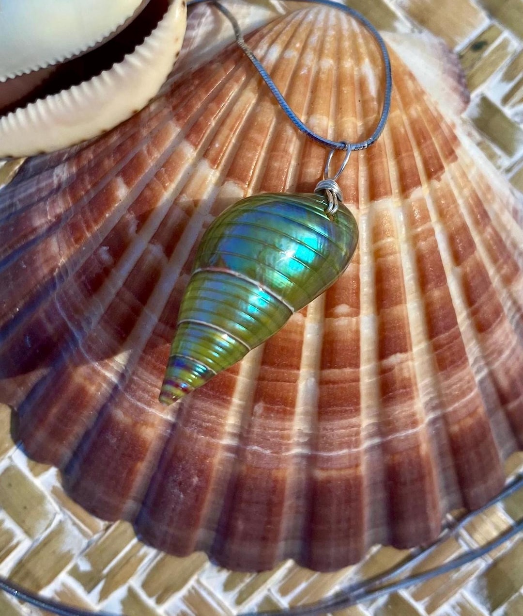 Maireener Shell Necklace ~ Rare A Grade Tasmanian Antique Shell ...