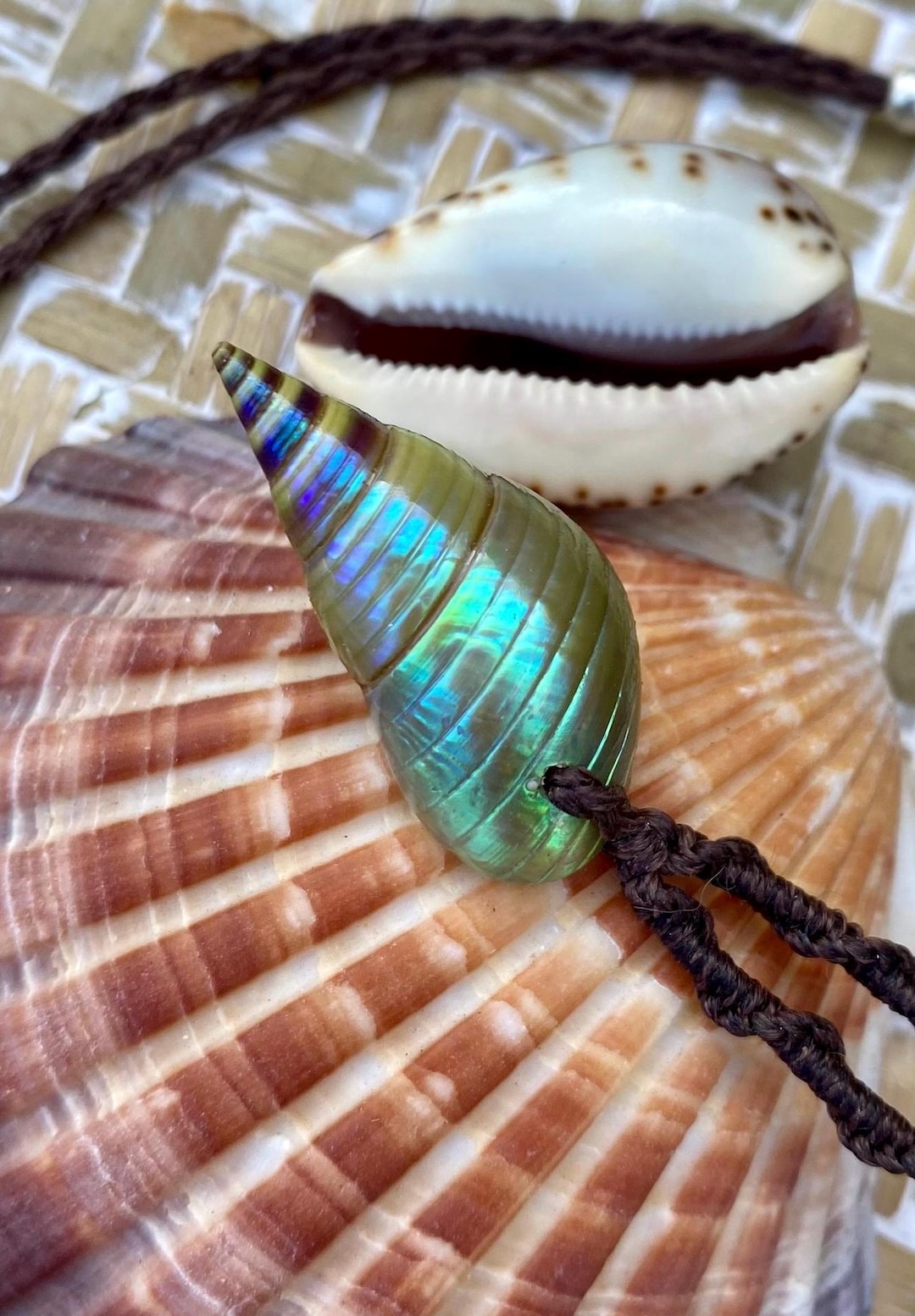 Maireener Shell Necklace ~ Rare A Grade Tasmanian Antique Shell ~ - Etsy