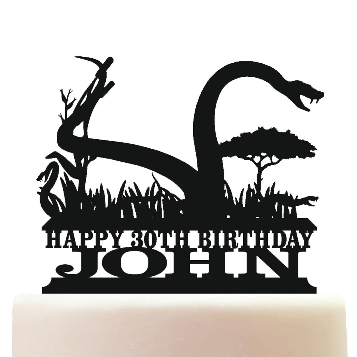 Personalised Acrylic Snake Cake Topper Decoration Ref 2 - Etsy UK