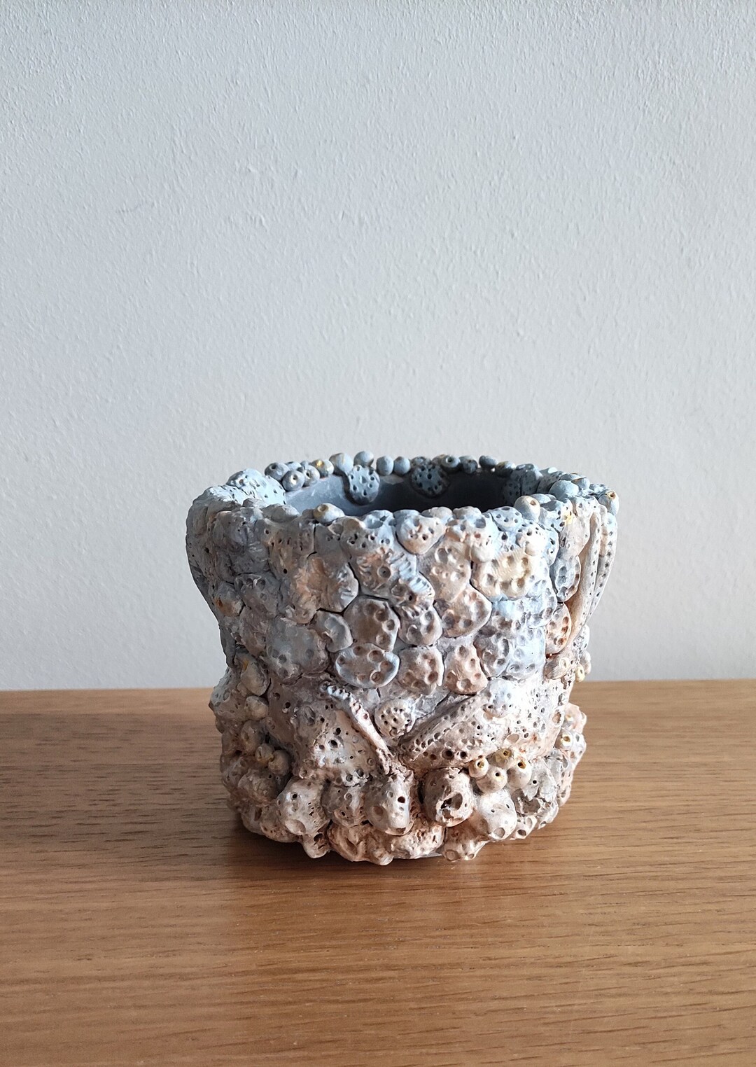 Barnacle Clay Pot, Encrusted Seaside Vase, Shipwreck Décor - Etsy