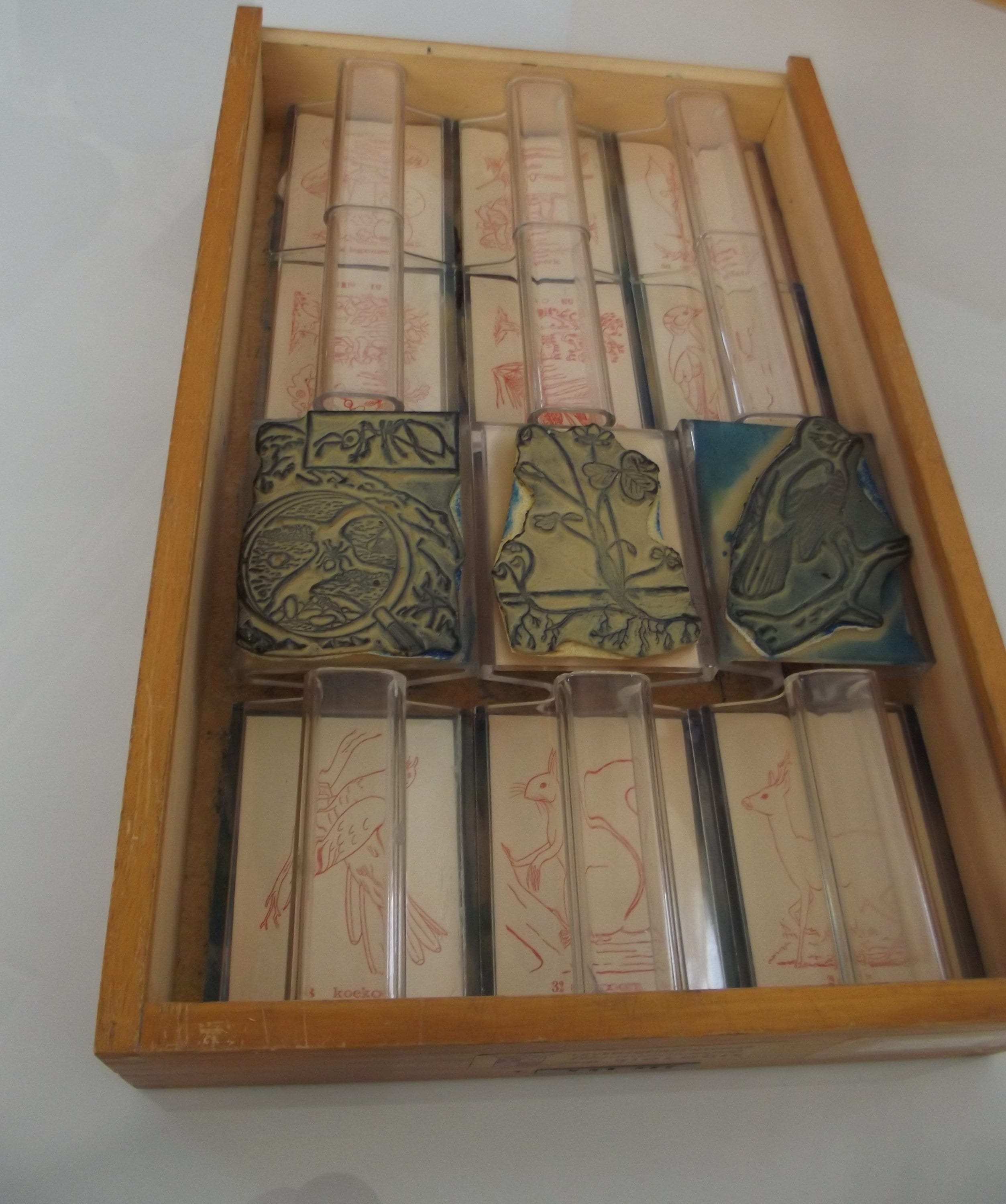 Chest With 12 Stamps Biology the Forest School Nostalgia | Etsy