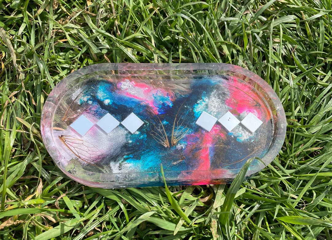 Beautiful Cicada Wing Tray With Mirror Pieces - Etsy