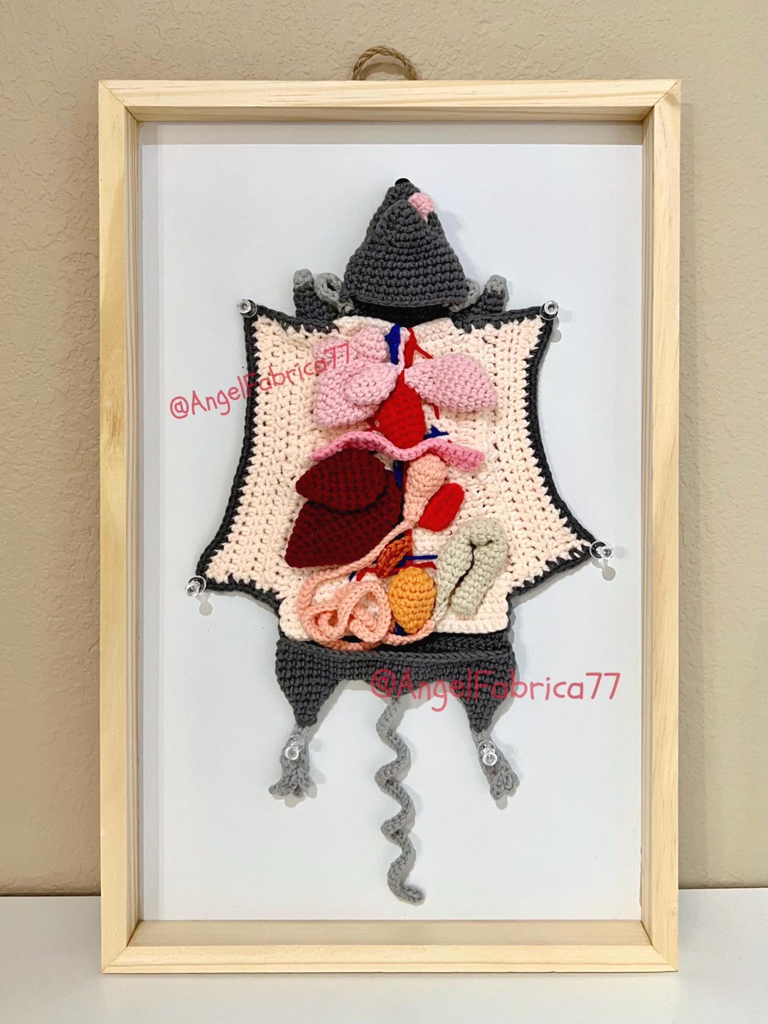 Crocheted Rat Dissection Art – Anatomical Wall Decor in Wooden Frame ...