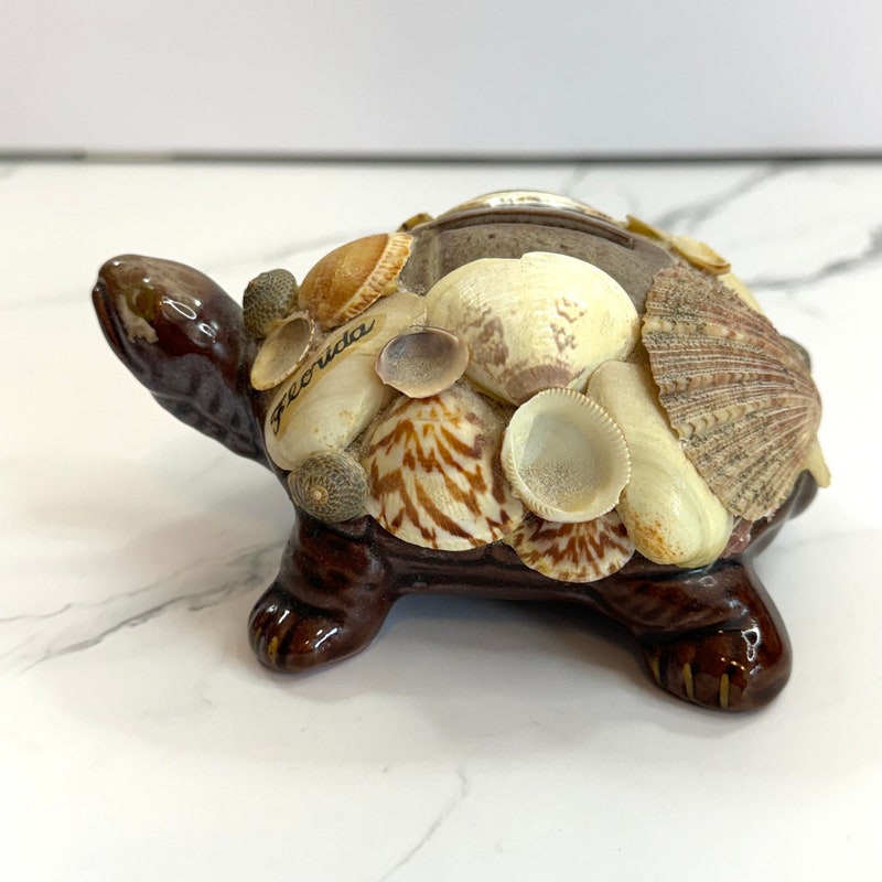 Shell Souvenirs - Etsy