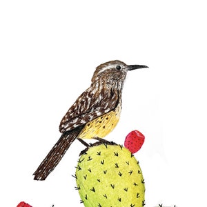 Cactus Wren | Desert Bird Decor | Bird Wildlife Art - Etsy