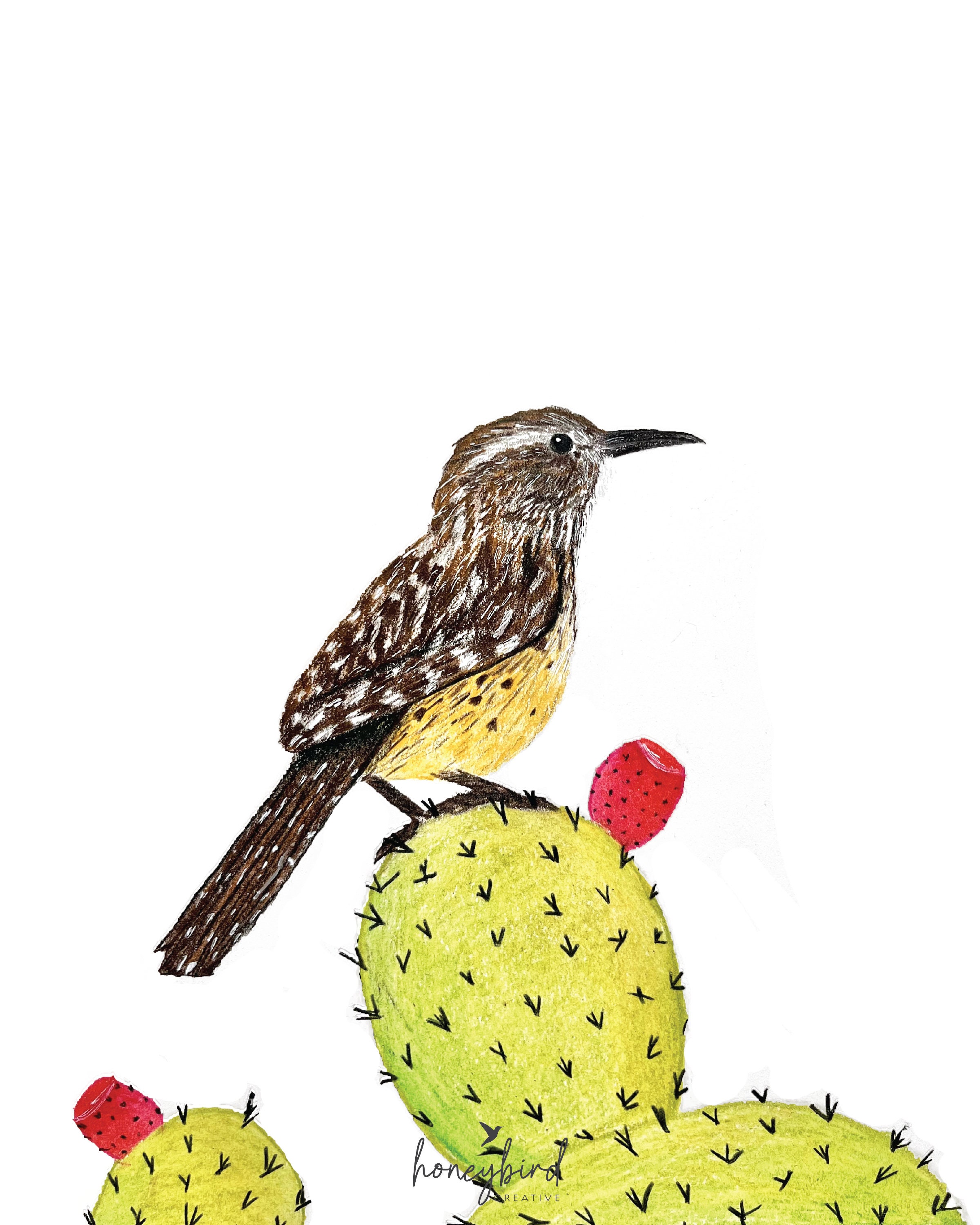 Cactus Wren | Desert Bird Decor | Bird Wildlife Art - Etsy
