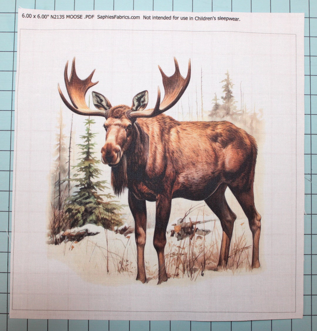 Moose 100% Cotton Fabric Panel Square Small Sewing Quilting Block N2135 - Etsy