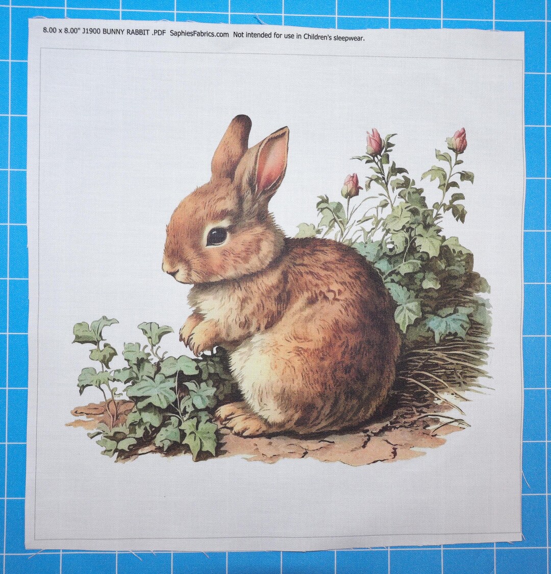 Bunny Rabbit 100% Cotton Fabric Panel Block | Small Sewing Quilting ...