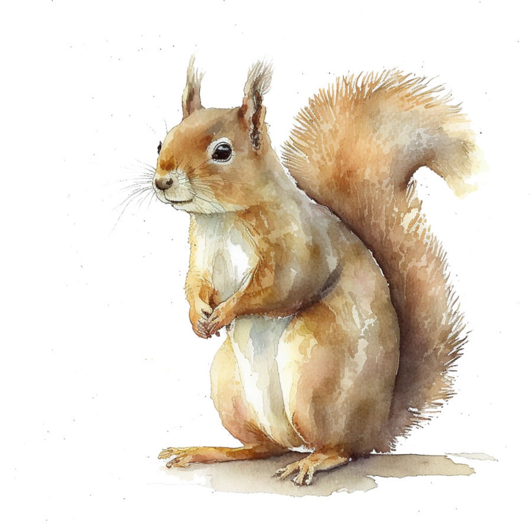 Squirrel 100% Cotton Fabric Panel Square Small Quilting - Etsy