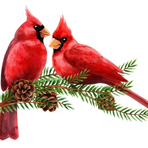 Cardinals 100% Cotton Fabric Panel Square Small Sewing Quilting Block ...