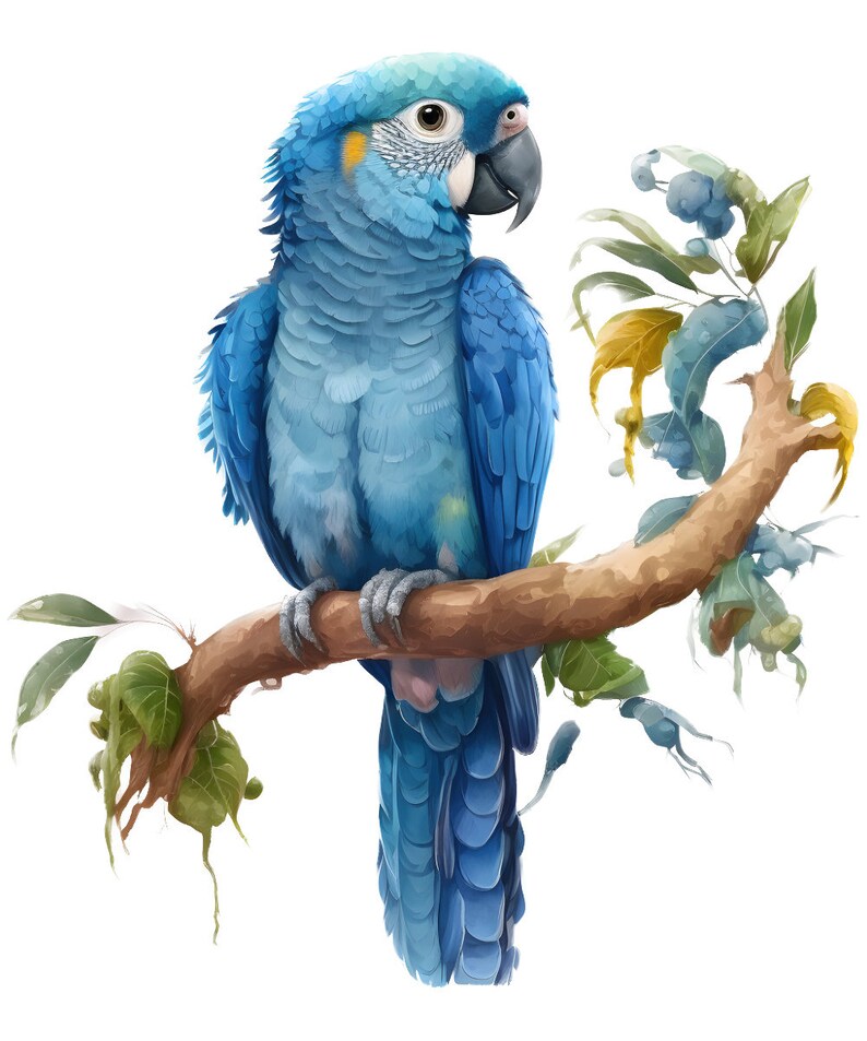 Blue Parrot 100% Cotton Fabric Panel Square Quilting Sewing - Etsy