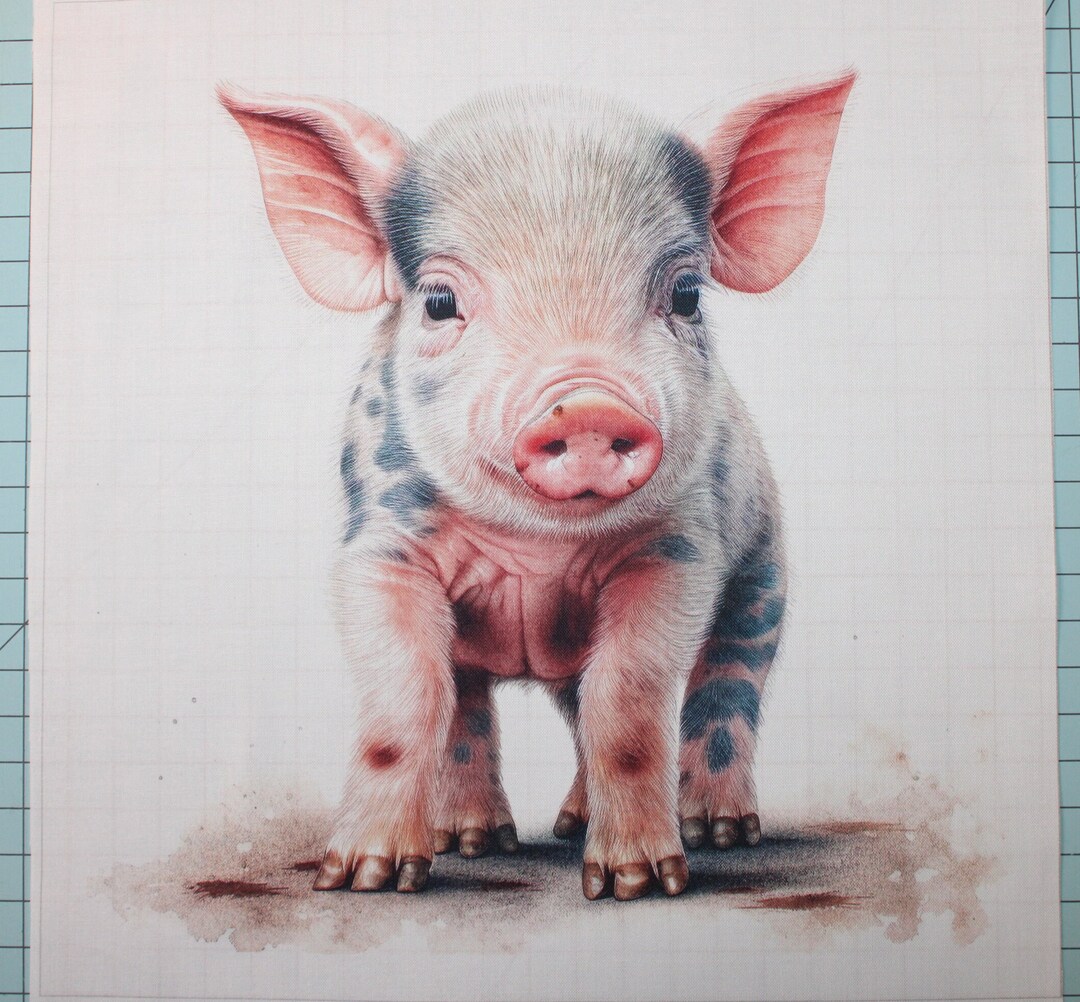 Pig Piglet 100% Cotton Fabric Panel Square Small Quilting Sewing Block ...