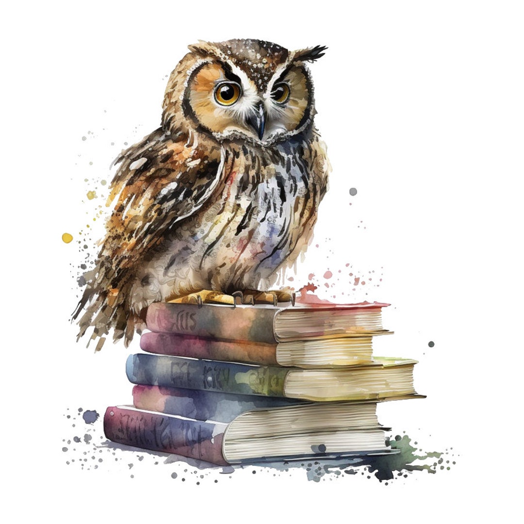 Owl & Books Reader 100% Cotton Small Fabric Panel Square - Etsy